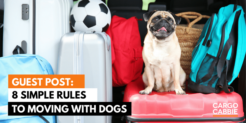 8 Simple Rules to Moving with Dogs - GUEST: Urbaneer @CargoCabbie